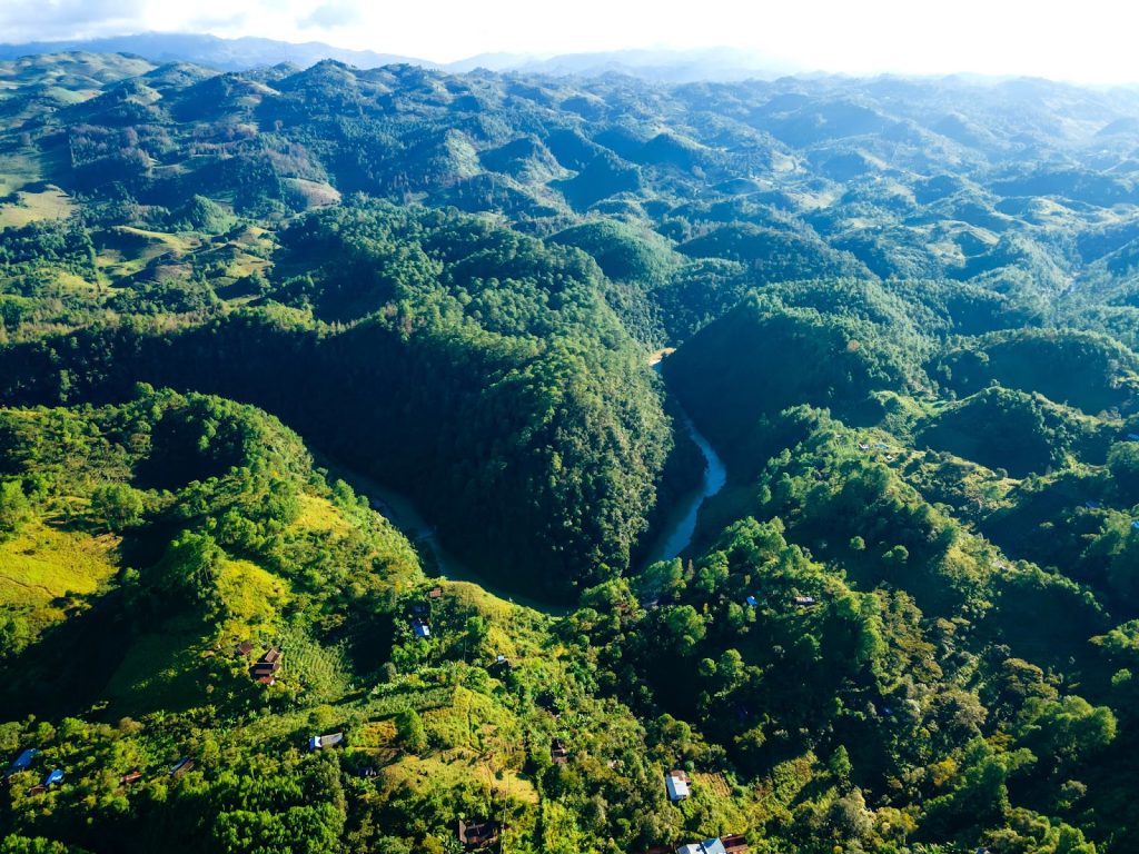 Renace: Gestión Ambiental Sostenible - Juan Luis Boch.